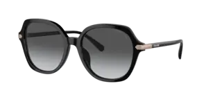 COACH Coach Sunglasses Grey Gradient Polar