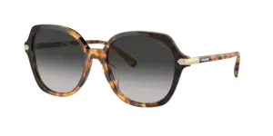 COACH Coach Sunglasses Grey Gradient