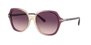 COACH Sunglasses - Purple Gradient