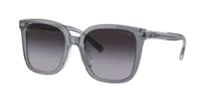 COACH Sunglasses Light Grey Gradient