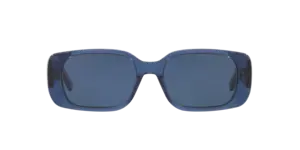 Dior Wildior S2u Sunglasses