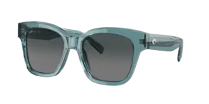 COSTA Sunglasses - Gray Gradient