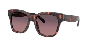 COSTA Sunglasses - Rose Gradient