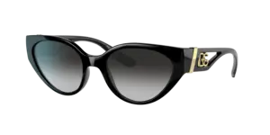 DOLCE & GABBANA Dolce&Gabbana Full Rim Sunglasses