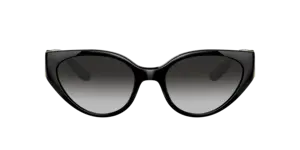 Dolce & Gabbana Full Rim Sunglasses