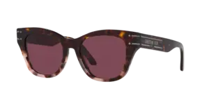 Dior Diorsignature B4i Sunglasses - Bordeaux