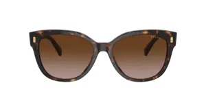 Ralph Lauren Ra5305u Sunglasses - Gradient Brown