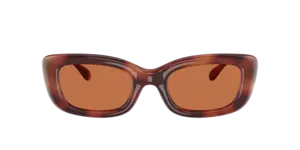 COACH Full Rim Sunglasses - Brown Solid
