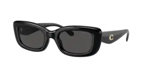 COACH Coach Cat Eye Sunglasses Grey Solid