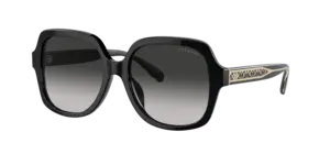 COACH Sunglasses Grey Gradient