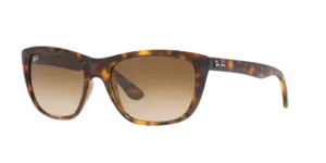 Ray-ban Sunglasses Brown