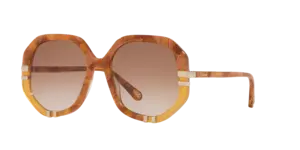 Chloé Sunglasses Ch0105s - Brown