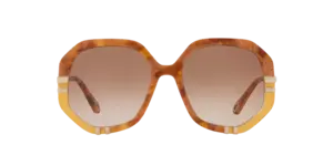 Chloé Sunglasses Ch0105s - Brown