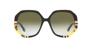 Chloé Sunglasses Ch0105s - Grey