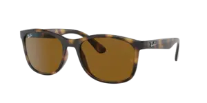Ray-ban Unisex Sunglasses Brown