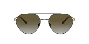 Giorgio Armani Sunglasses - Green Gradient