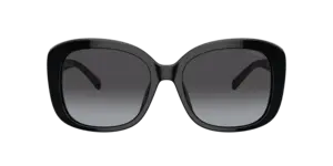 COACH Hc8363u Sunglasses