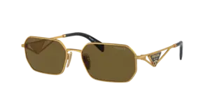 Prada Sunglasses Dark Brown