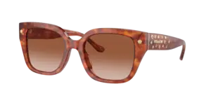 COACH Tortoiseshell D-frame Sunglasses - Brown Gradient