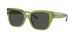 COACH Sunglasses Grey Solid