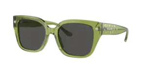 COACH Tortoiseshell D-frame Sunglasses - Grey Solid