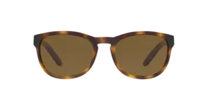 SUNGLASS HUT COLLECTION Sunglasses - Dark Brown