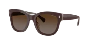 Ralph Lauren Sunglasses - Polar Light Brown