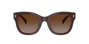 Ralph Lauren Sunglasses - Polarized Light Brown