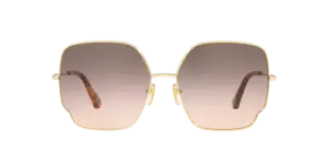 Chloé Ch0092s Sunglasses