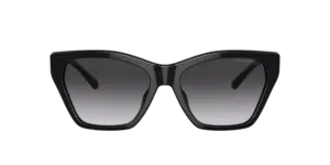 Emporio Armani Sunglasses - Gradient Smoke