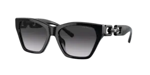 Emporio Armani Sunglasses - Gradient Smoke