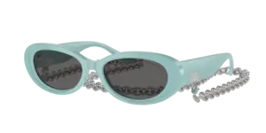 Tiffany & Co. Sunglasses Accessories