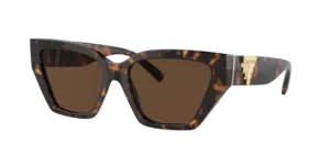 Tiffany & Co. Sunglasses - Light Brown