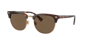 Polo Ralph Lauren Sunglasses - Brown