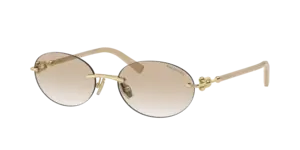 Tiffany & Co. Sunglasses - Grey Gradient