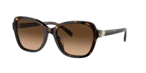 COACH Sunglasses Brown Gradient
