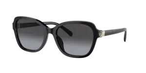 COACH Sunglasses Grey Gradient