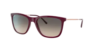 Ray-ban Sunglasses