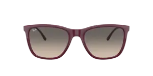 Ray-ban Sunglasses