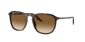 Ray-ban Sunglasses Light Brown