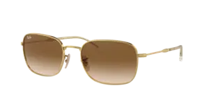 Ray-ban Sunglasses Brown