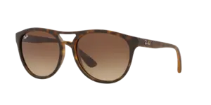 Ray-ban Ray-Ban Sunglasses Brown Gradient Dark Brown