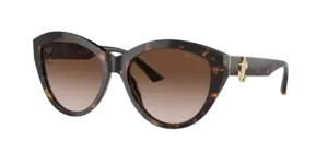 JIMMY CHOO Jimmy Choo Sunglasses Gradient Brown
