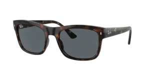 Ray-ban Ray-Ban Unisex Sunglasses Blue