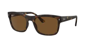 Ray-ban Ray-Ban Unisex Sunglasses Brown