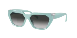 Tiffany & Co. Sunglasses - Grey Gradient
