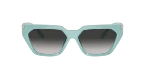 Tiffany & Co. Sunglasses - Grey Gradient