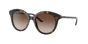 Prada Sunglasses - Brown Gradient