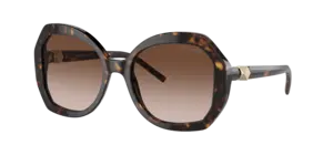 Giorgio Armani Sunglasses - Gradient Brown