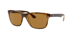 Ray-ban Ray-Ban RB4181 Sunglasses B-15 Brown